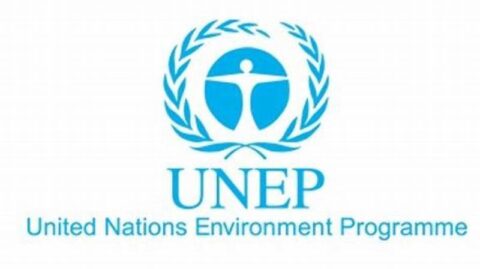 Anticipating Environmental Milestones in 2024: A Glimpse into UNEP's ...