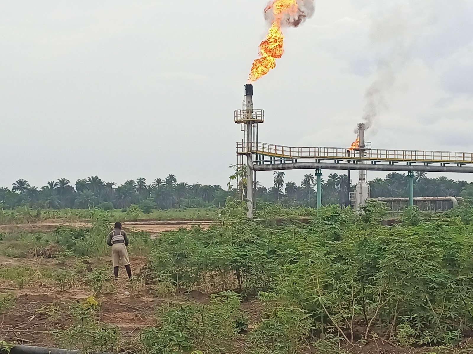 Ministers Push for Decisive Methane Cuts as New Global Report Shows ...